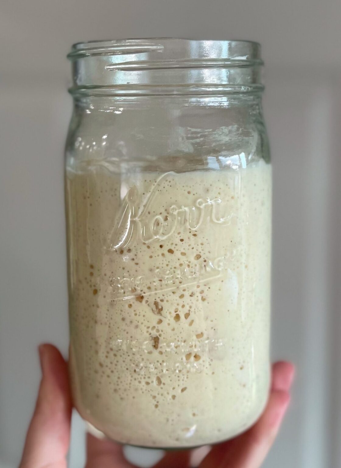 Easy Overnight Sourdough Focaccia Bread Recipe - Muscle Momma Sourdough