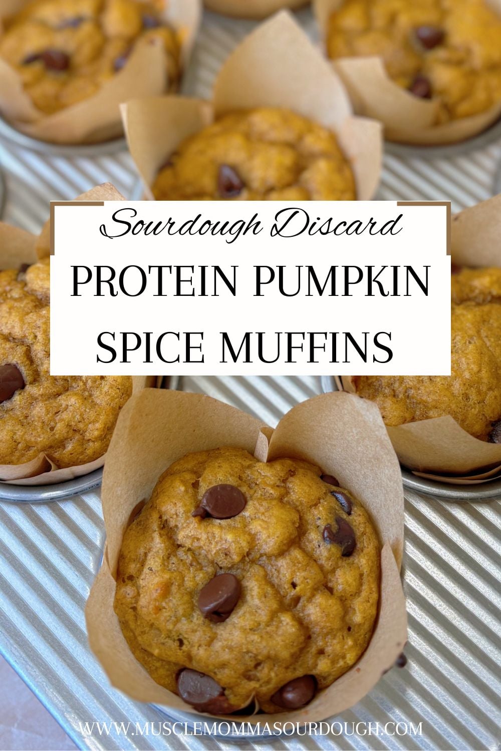Sourdough Protein Pumpkin Spice Muffins | Fall Recipe - Muscle Momma ...